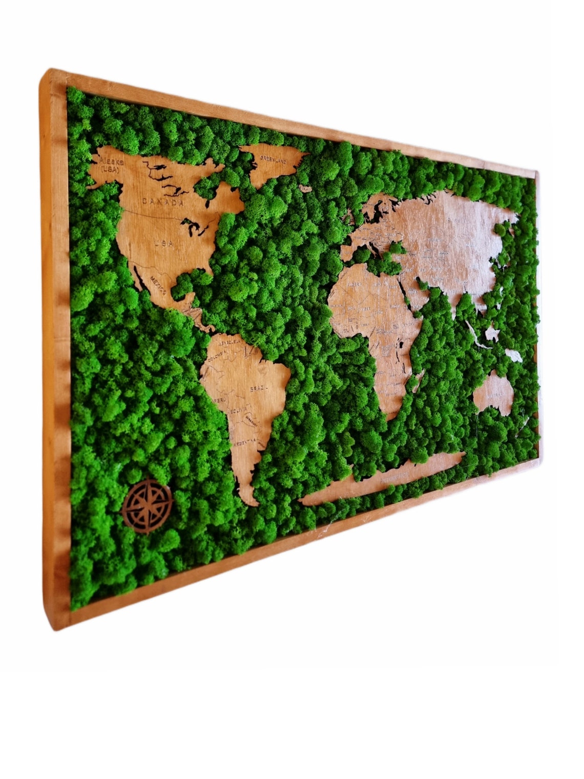 Preserved Moss World Map Wall Art: Handmade Nature Decor - Etsy