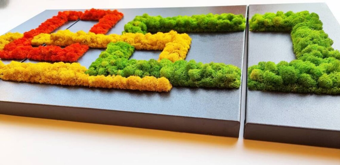 Nature Wall Art. Cosy Vibes Biophilia. Greenwall. Moss Frame. Preserved ...