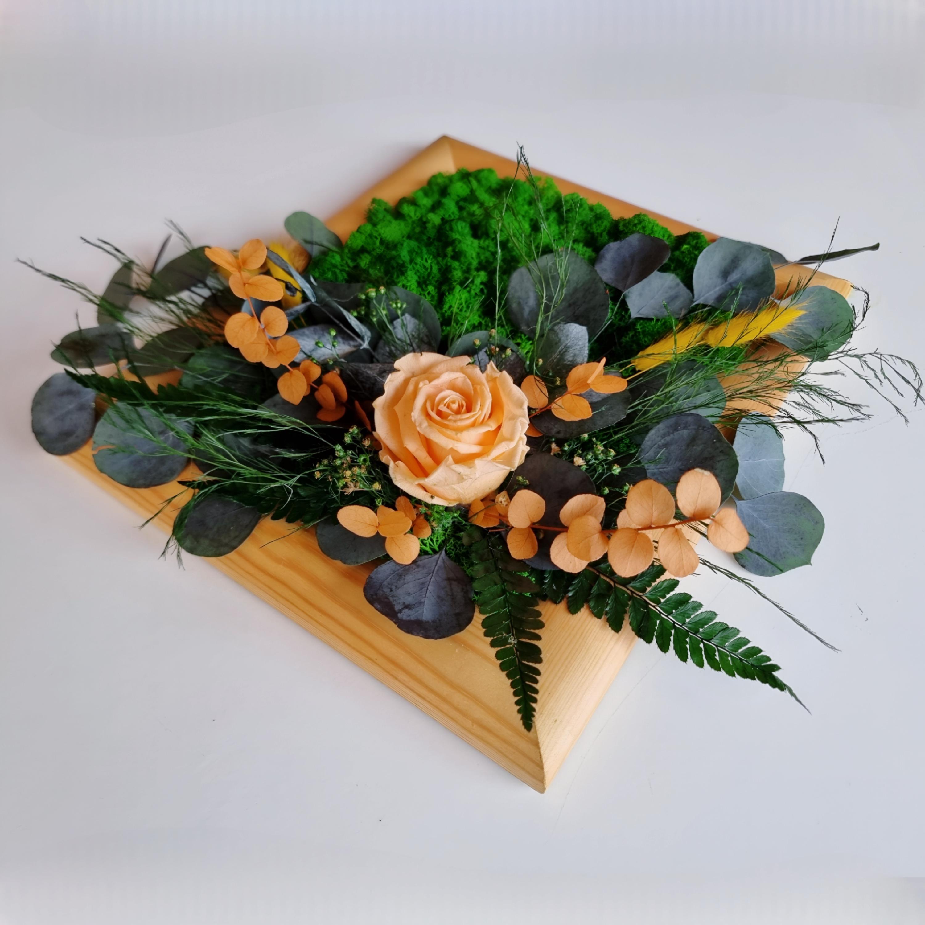 Moss Art. Deco Plants. Biophilic Design. Preserved Plants. Interior ...