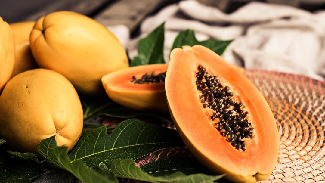 9 SUPER Rare Ruby Rise Papaya Seeds Organic Juicy - Etsy