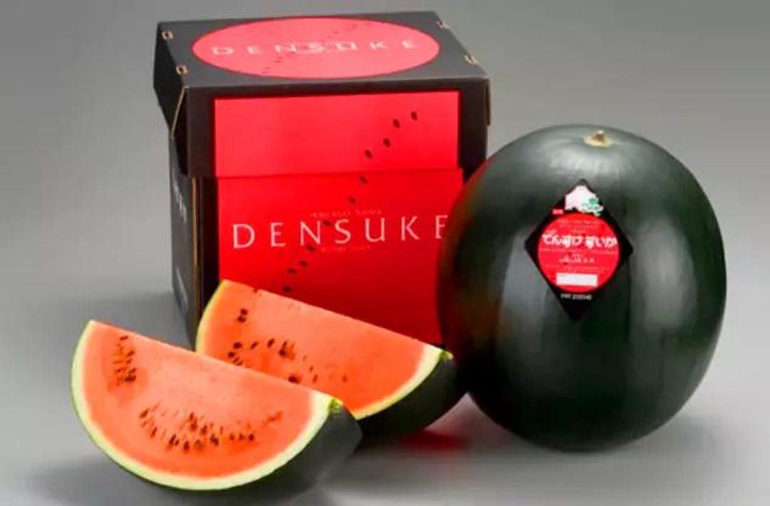 5 SUPER RARE Japanese Black Densuke Watermelon Seeds Organic - Etsy