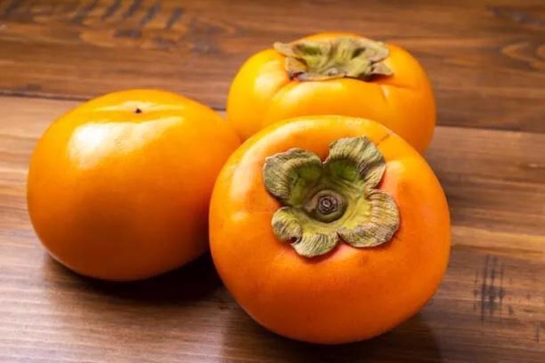 5 Super Rare Big Sweet Fuyu Dwarf Persimmon Tree Seeds Organic Hong ...