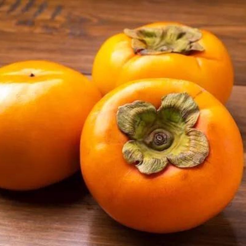 Dwarf Persimmon Tree - Etsy