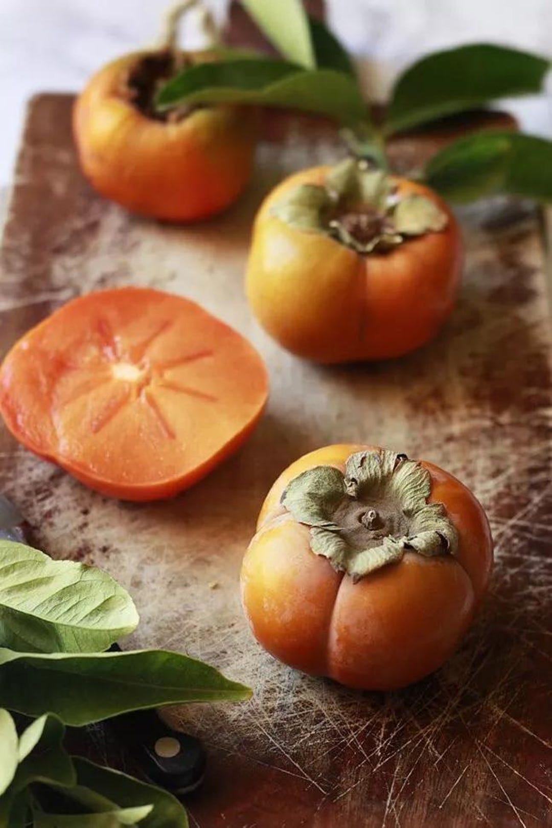 Super Sweet Rare Fuyu Japanese Persimmon Hong Gion - 3 Cuttings for ...
