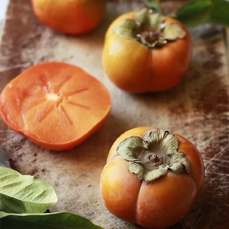 Dwarf Persimmon Tree - Etsy