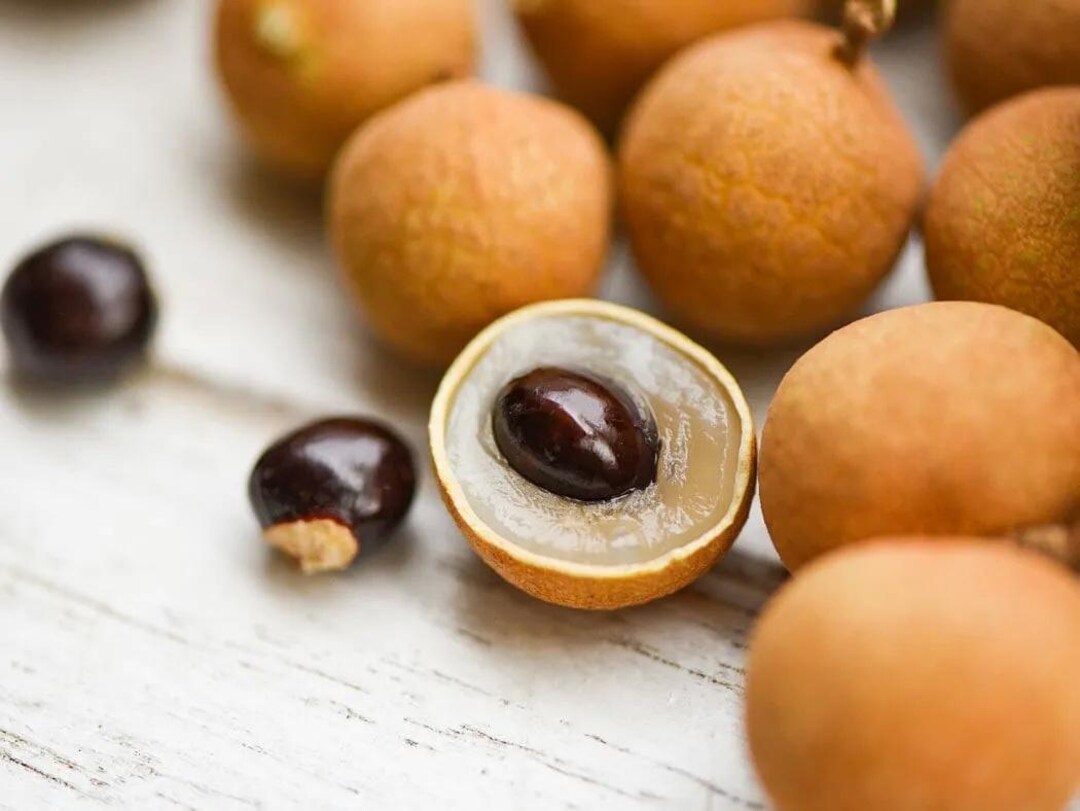 5 Big RARE Hawaiian Cold Hardy Kohala Dimocarpus Longan Seeds SWEETEST ...