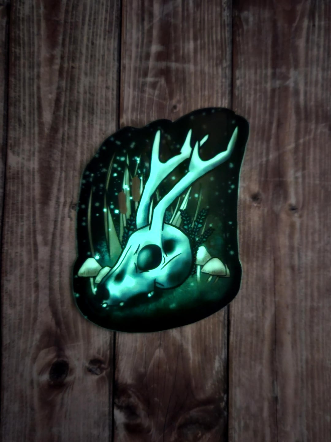 Jackalope Skull Sticker, Oddity Sticker for Water Bottle, Weirdo Gift ...