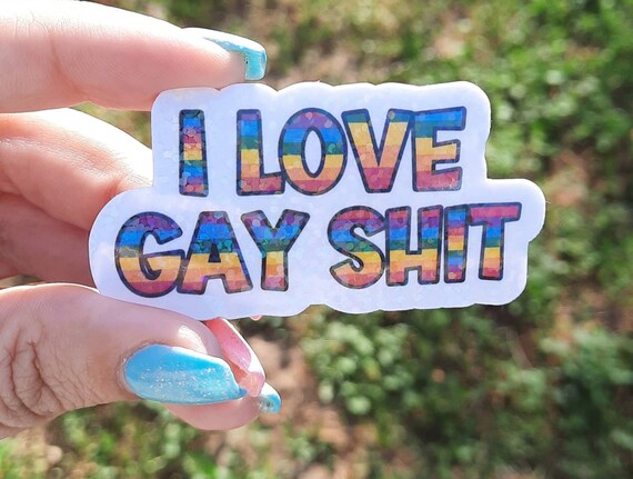 2 Pack I Love Gay Shit Stickers Funny Pride Sticker Rainbow - Etsy