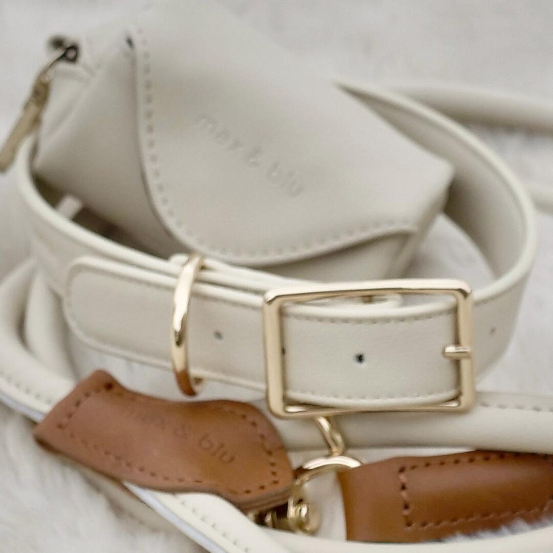 Beige Dog Walk Set - Collar, Lead & Poop Bag Holder. Walk Set Bundle ...