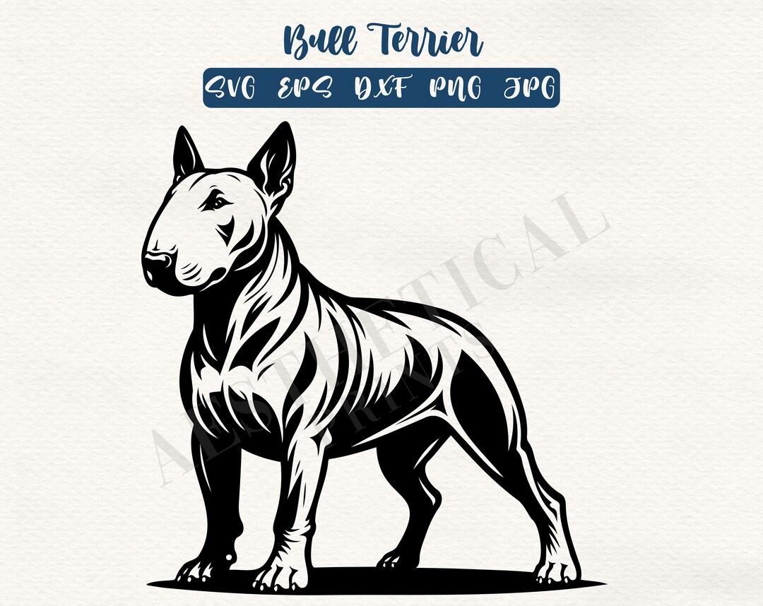 Bull Terrier Svg, Eps, Png, Dxf and Jpg 2 - Etsy