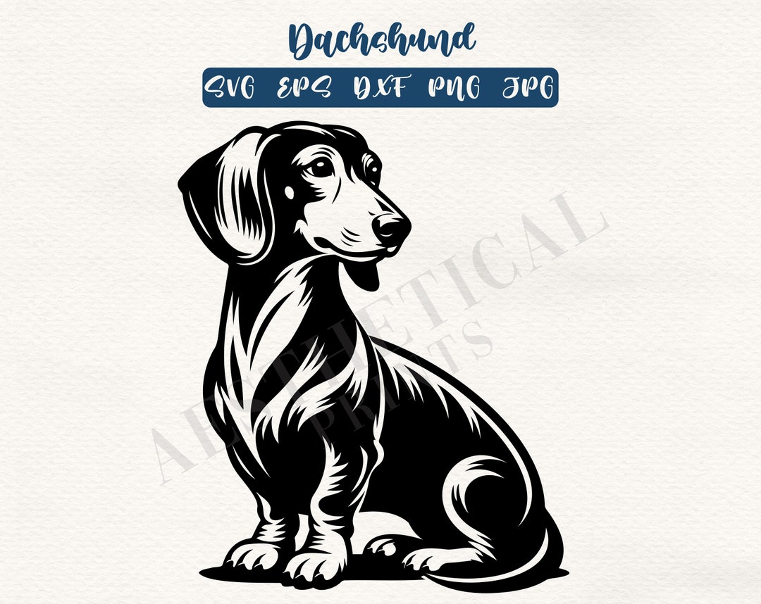 Dachshund Svg, Eps, Png, Dxf and Jpg 1 - Etsy