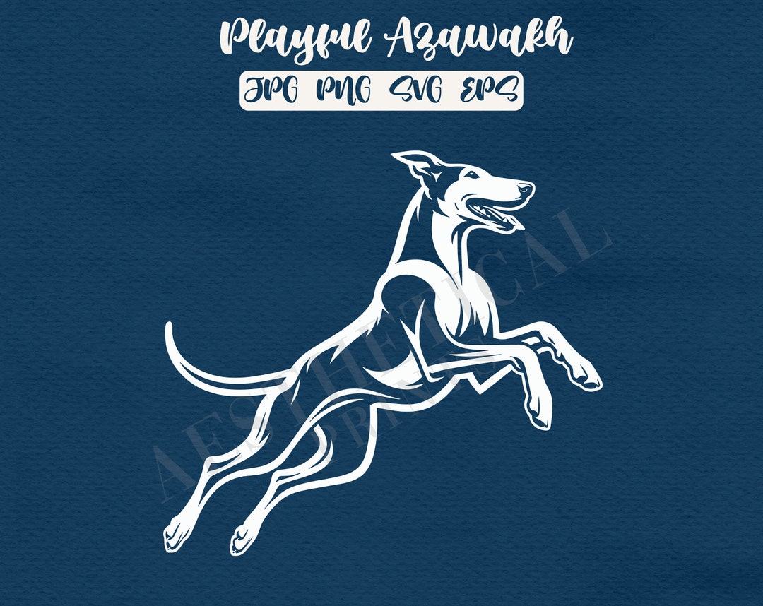 Playful Azawakh White Clip Art Svg, Eps, Png and Jpg - Etsy