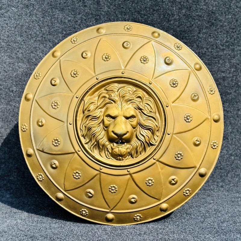Round Shield - Etsy