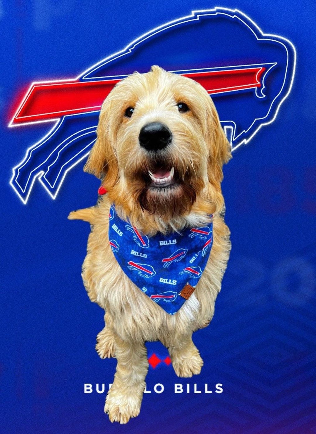 Buffalo Bills Red and Blue Winter Football Reversible Dog Bandana GO ...