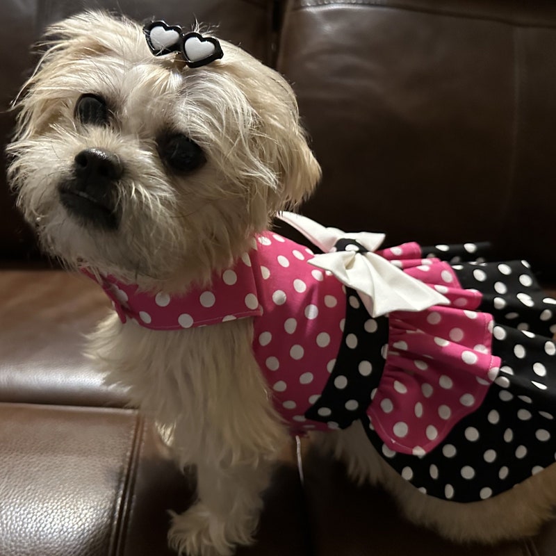 Elegant Dog Dress - Etsy