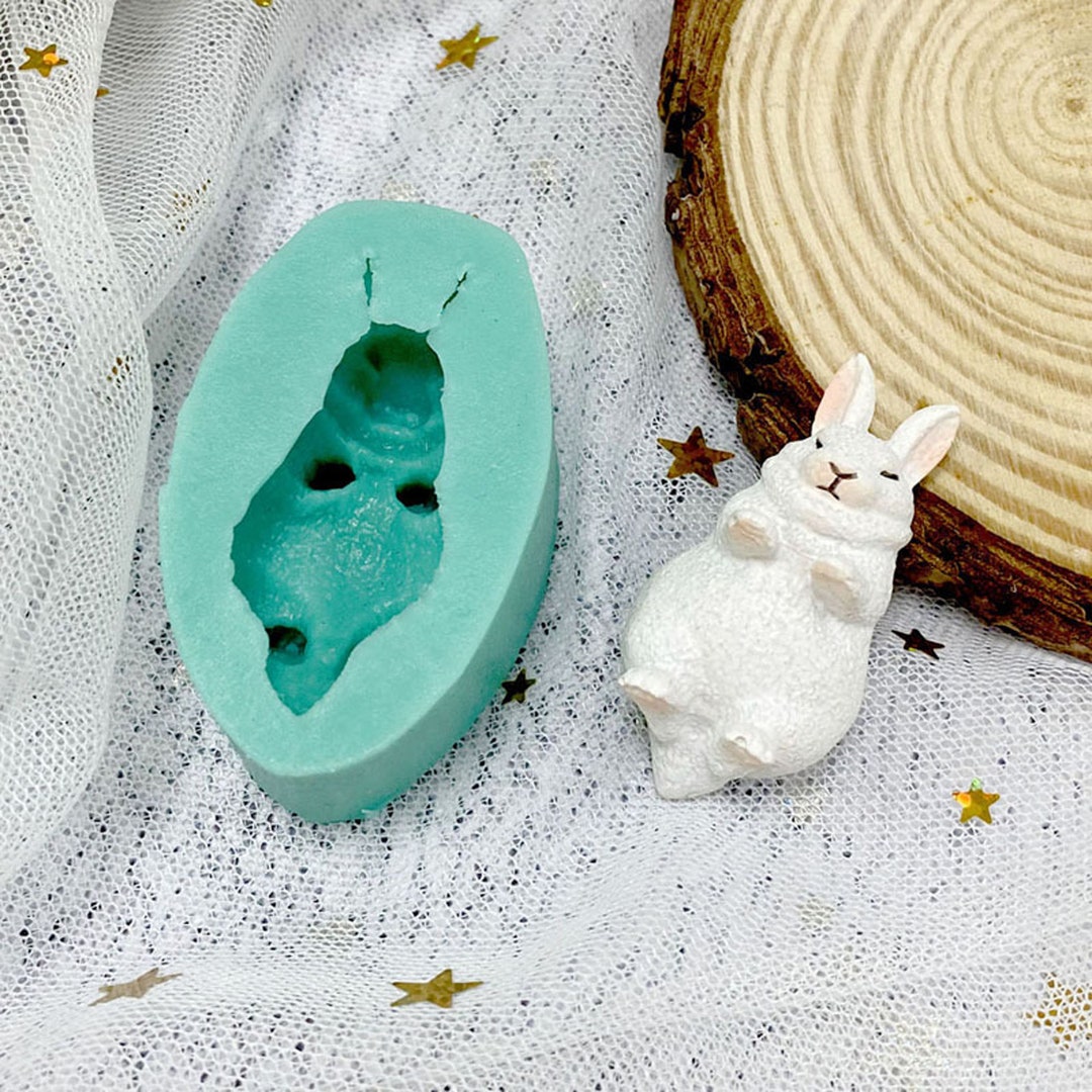 Molde de conejo de dibujos animados DIY molde lindo de - Etsy México