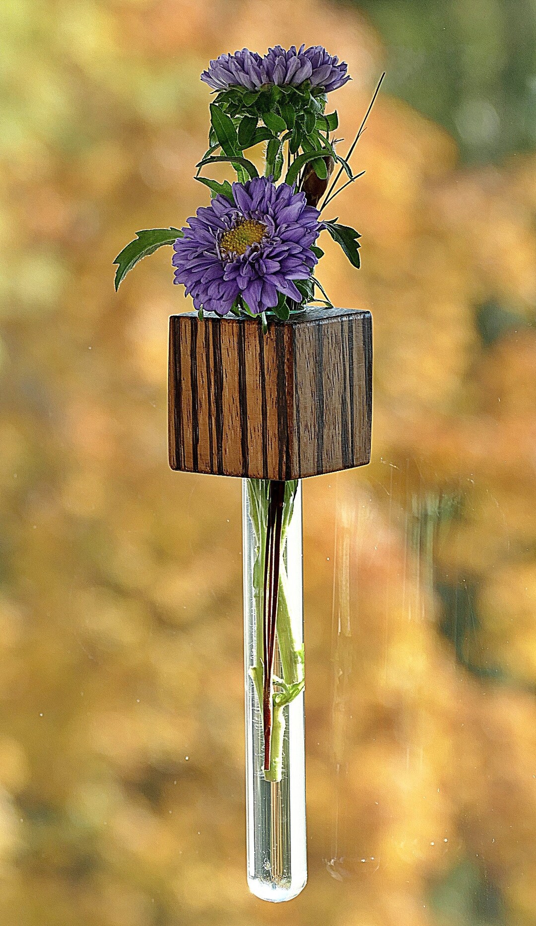 1er Window Vase Zebrano Flower Vase Glass Vase Wooden Vase - Etsy