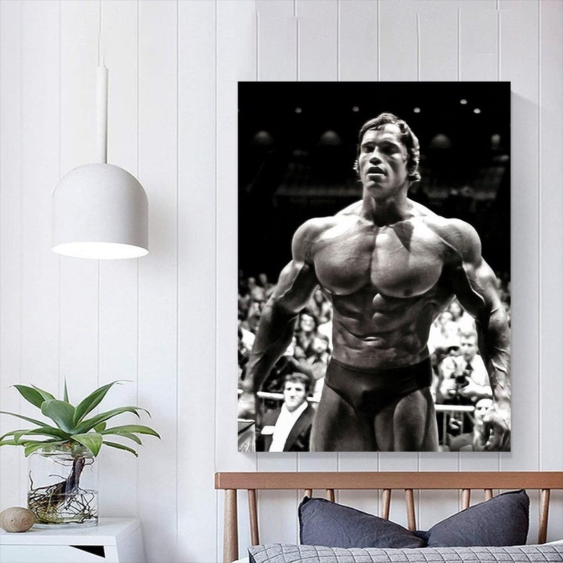 Arnold Schwarzenegger Poster Canvas Wall Art Home Decor (no Frame) - Etsy