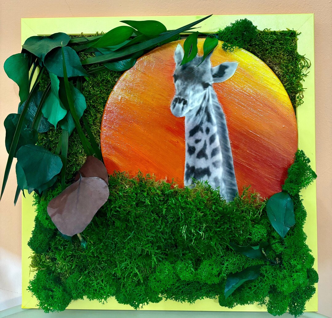 Safari Framework - Etsy