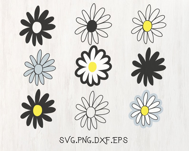 Daisy SVG Bundle, Flowers Svg Files, Daisy Flower Svg, Daisy Silhouette ...