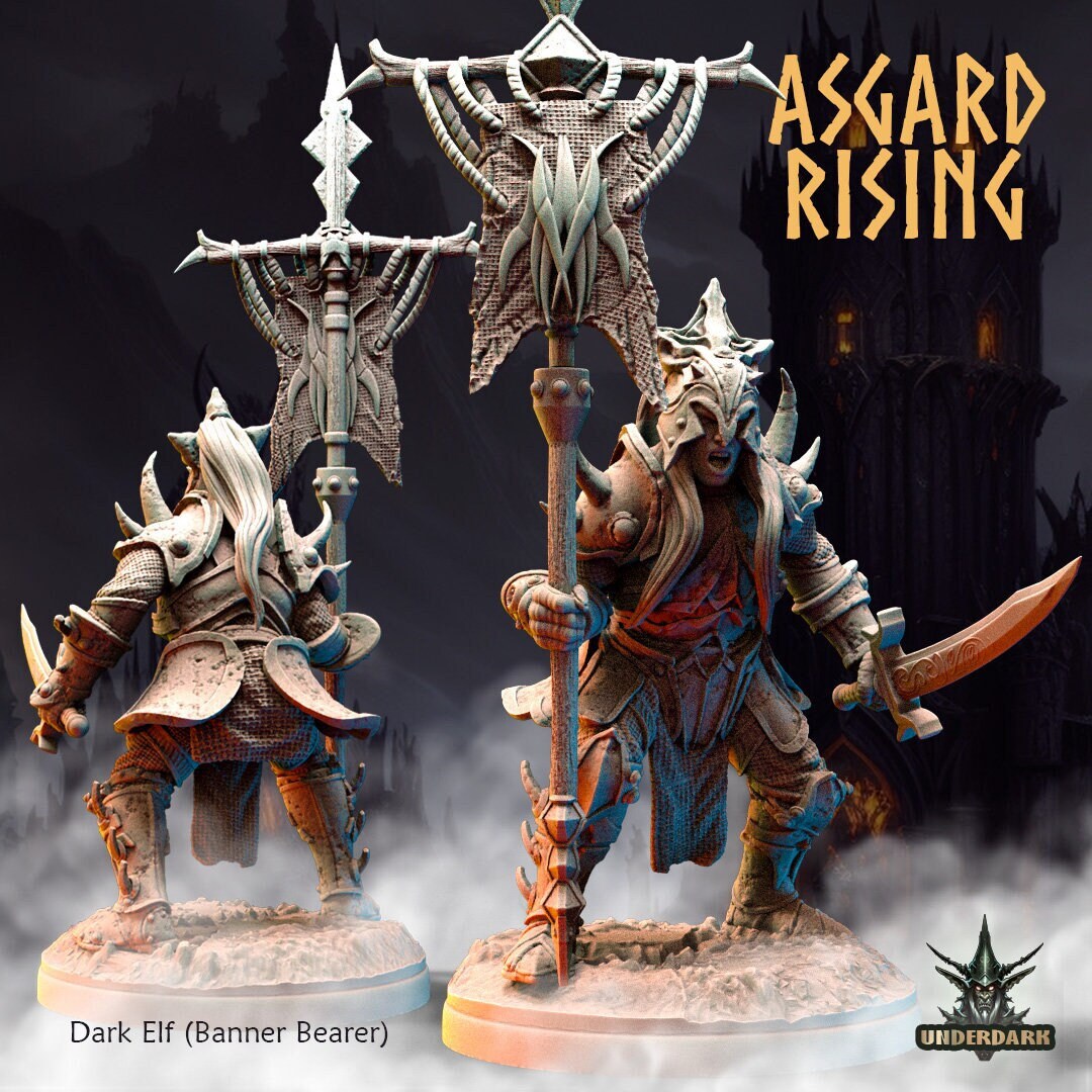 Dark Elf Banner Bearer Dnd Miniature for RPG Tabletop Gaming 32 Mm ...