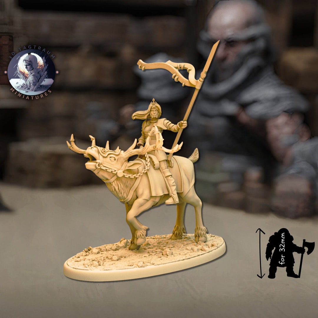 Dnd Hero Miniature Princess Nave for Tabletop Fantasy, RPG Games ...