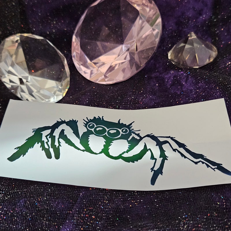 Jumping Spider - Etsy