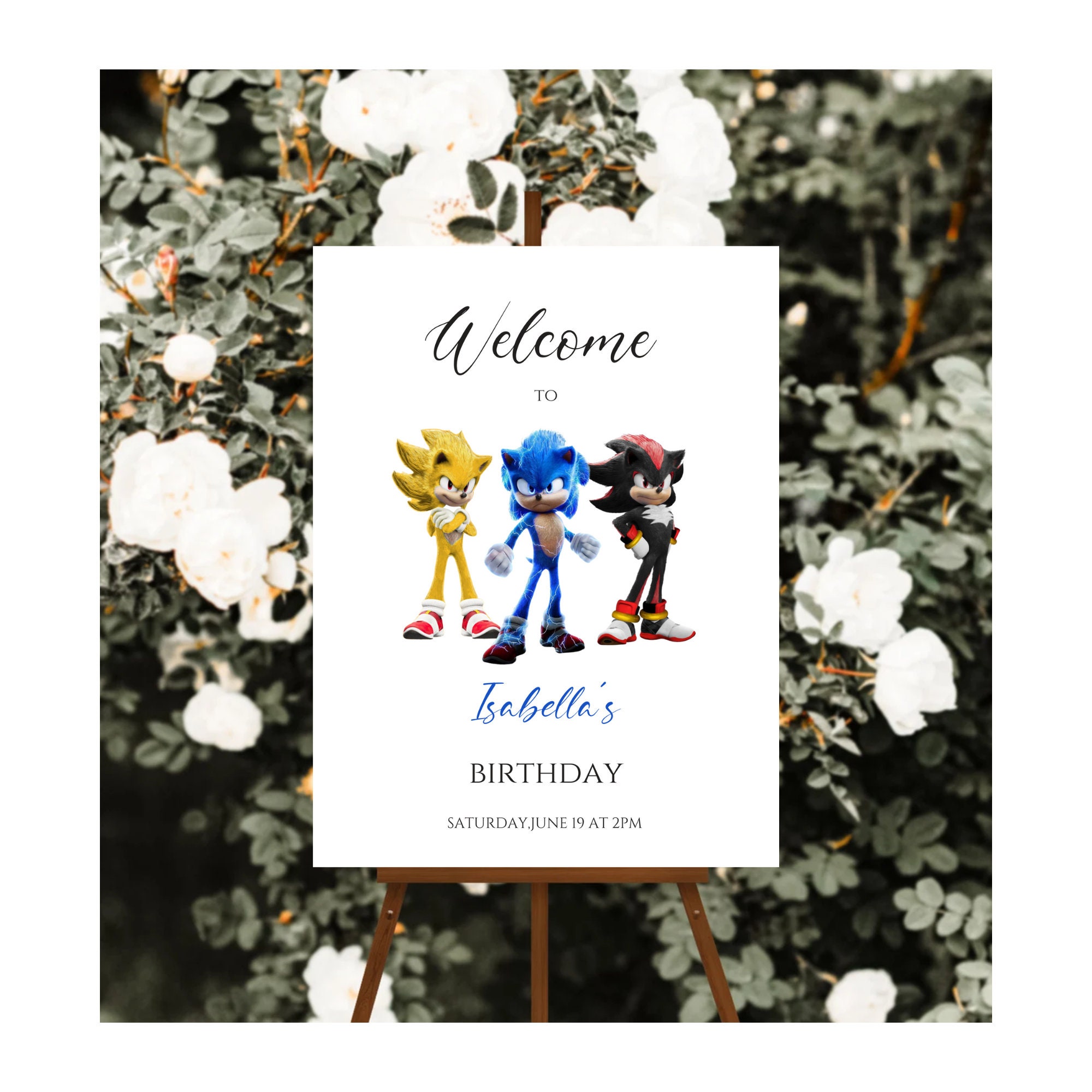 Sonic Welcome Sign, Birthday Party Sign, Birthday Party Decor, Sonic ...