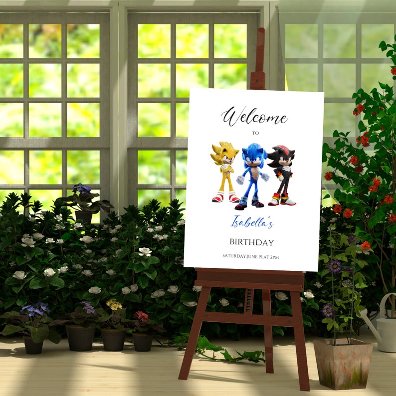 Sonic Welcome Sign, Birthday Party Sign, Birthday Party Decor, Sonic ...