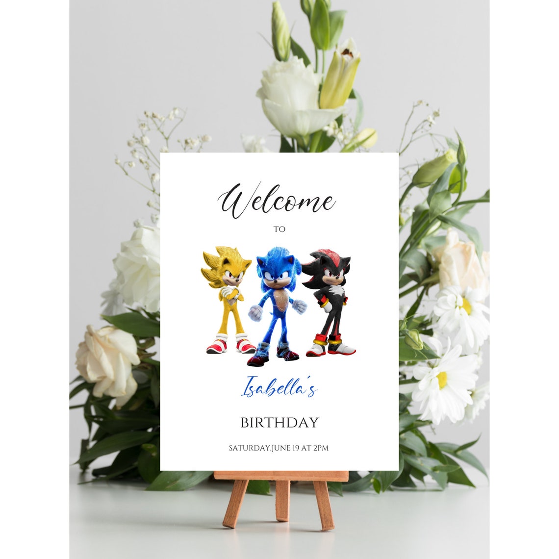 Sonic Welcome Sign, Birthday Party Sign, Birthday Party Decor, Sonic ...