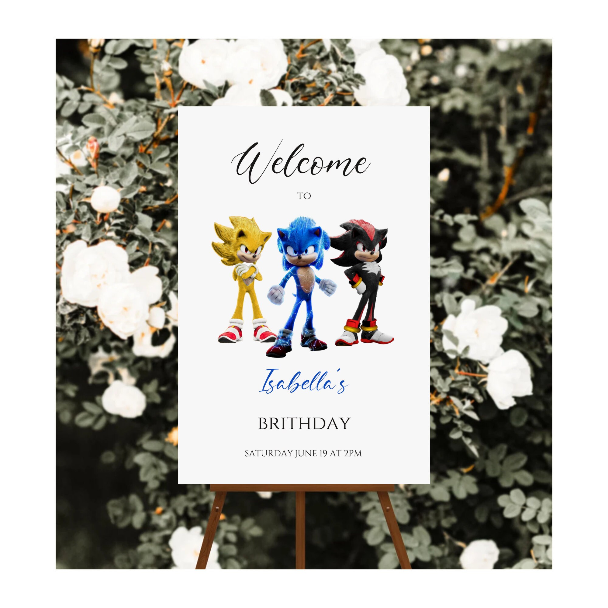 Sonic Welcome Sign Birthday Party Sign Birthday Party Decor - Etsy