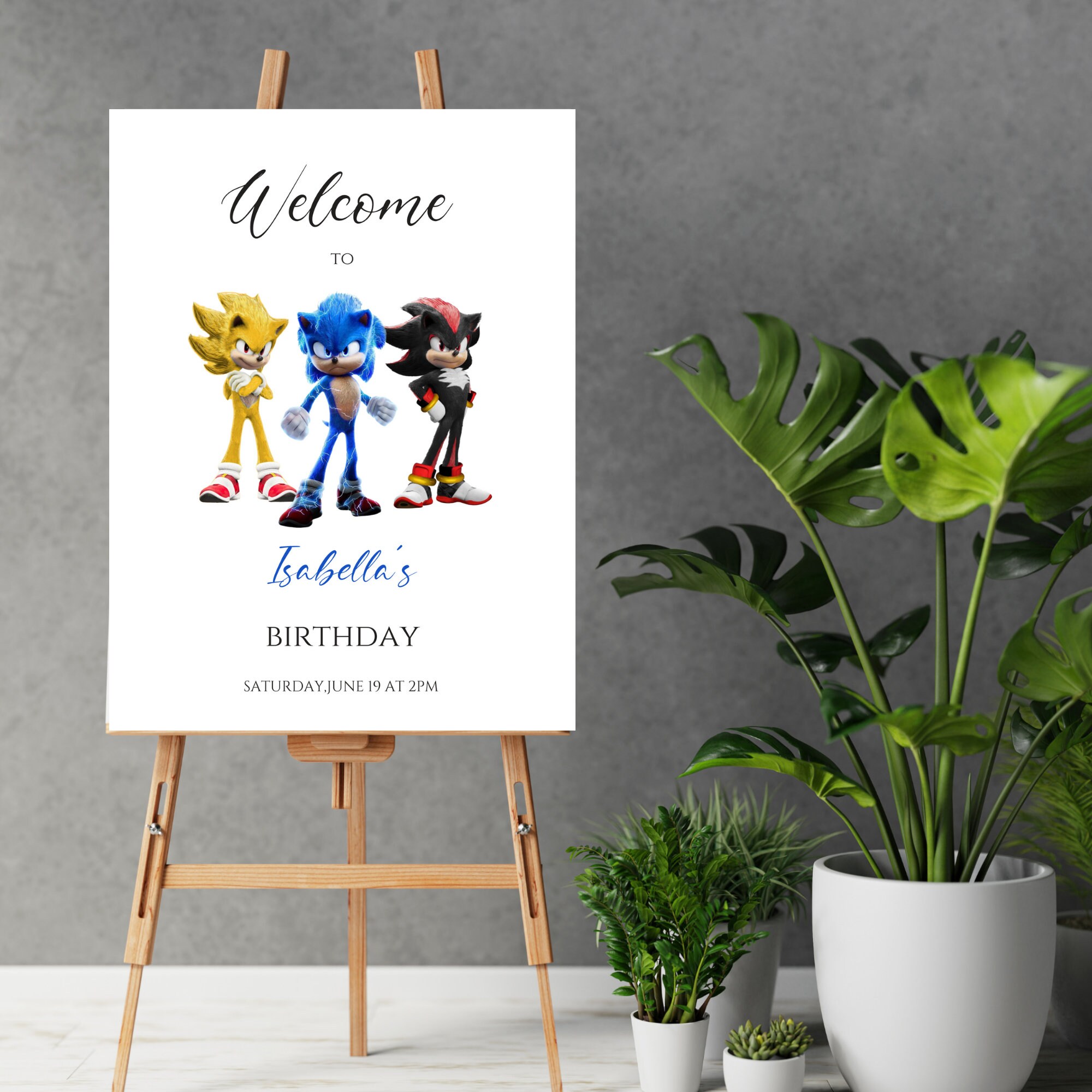 Sonic Welcome Sign, Birthday Party Sign, Birthday Party Decor, Sonic ...