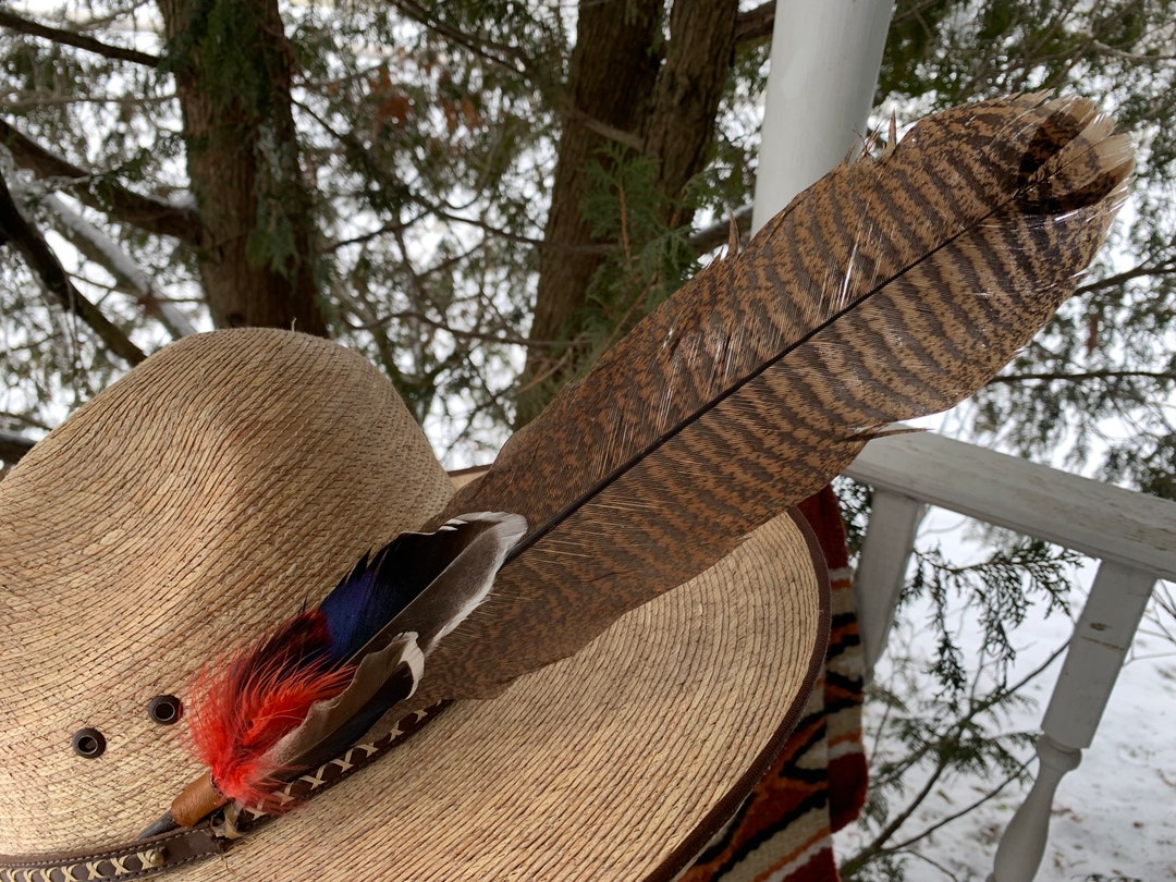 Buckaroo Cowboy Hat Feather, Beautiful Hat Feather, Western Feather ...