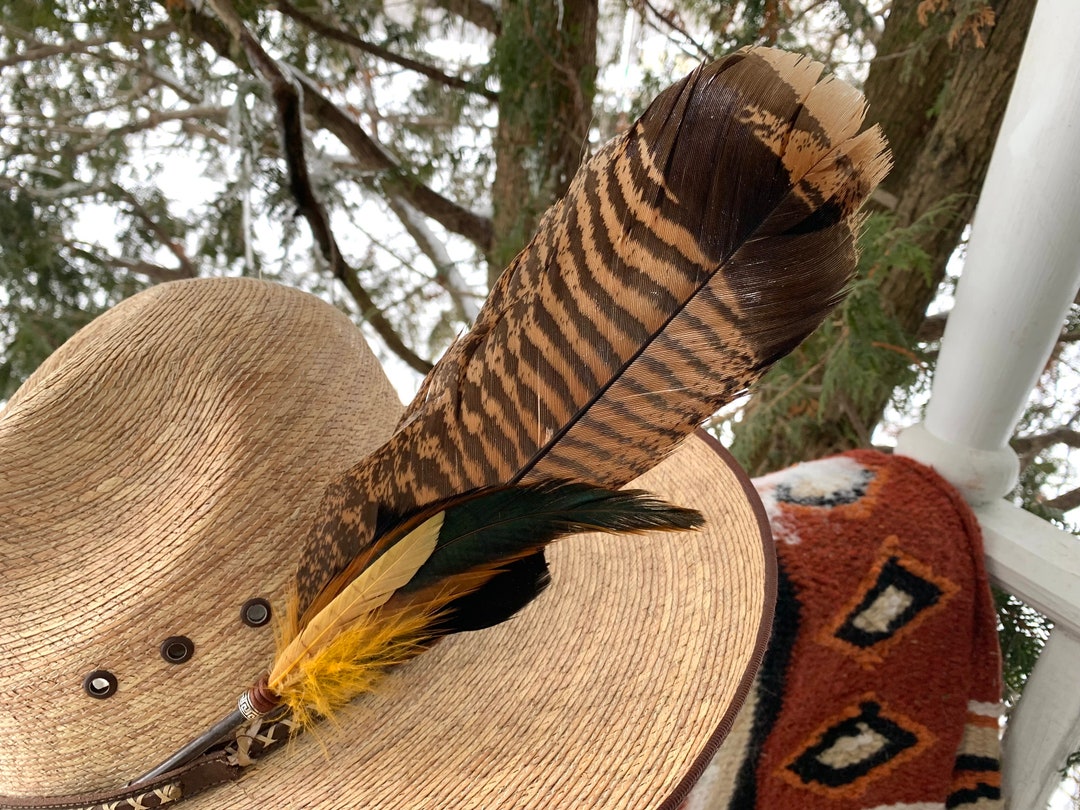 Buckaroo Cowboy Hat Feather, Beautiful Hat Feather, Western Feather ...