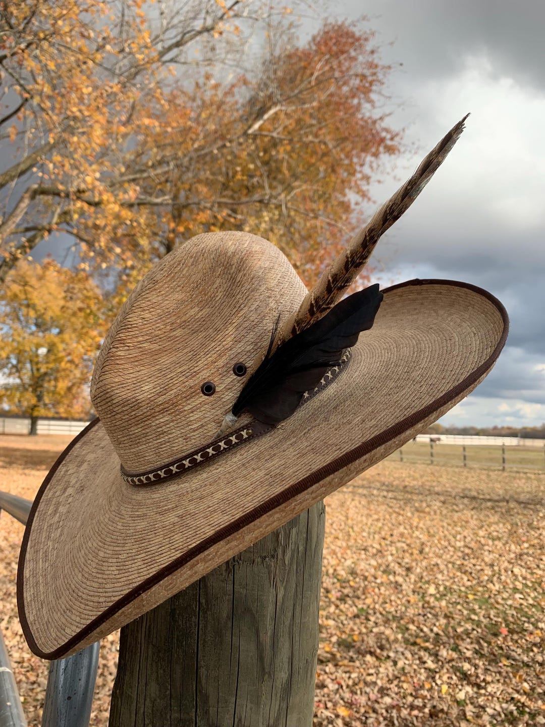 Cowboy Hat Feather, Natural Feather for Hat, Western Feather, Hand ...