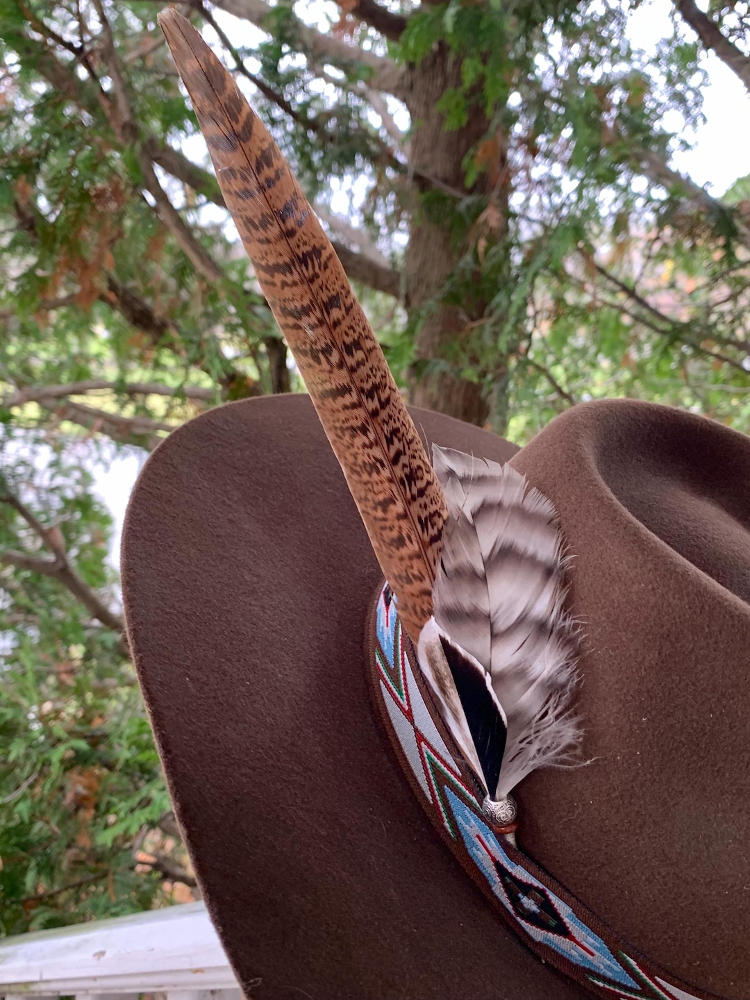 Hat Feather, Cowboy Hat Feather, Hand Crafted Hat Feather, Fedora Hat ...