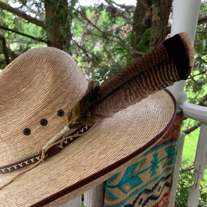 Buckaroo Traditional Windstring Cowboy Hat Feather, Hat Feather ...
