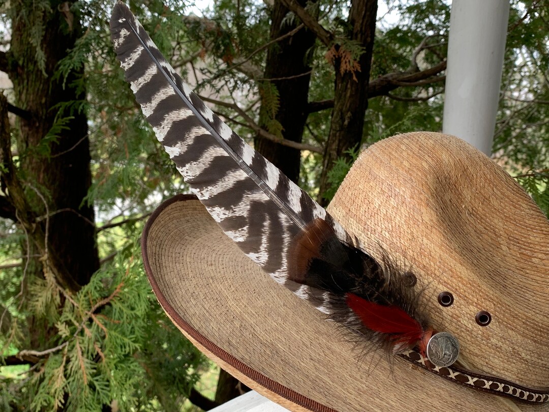 Big Buckaroo Cowboy Hat Feather, Beautiful Hat Feather, Western Feather ...