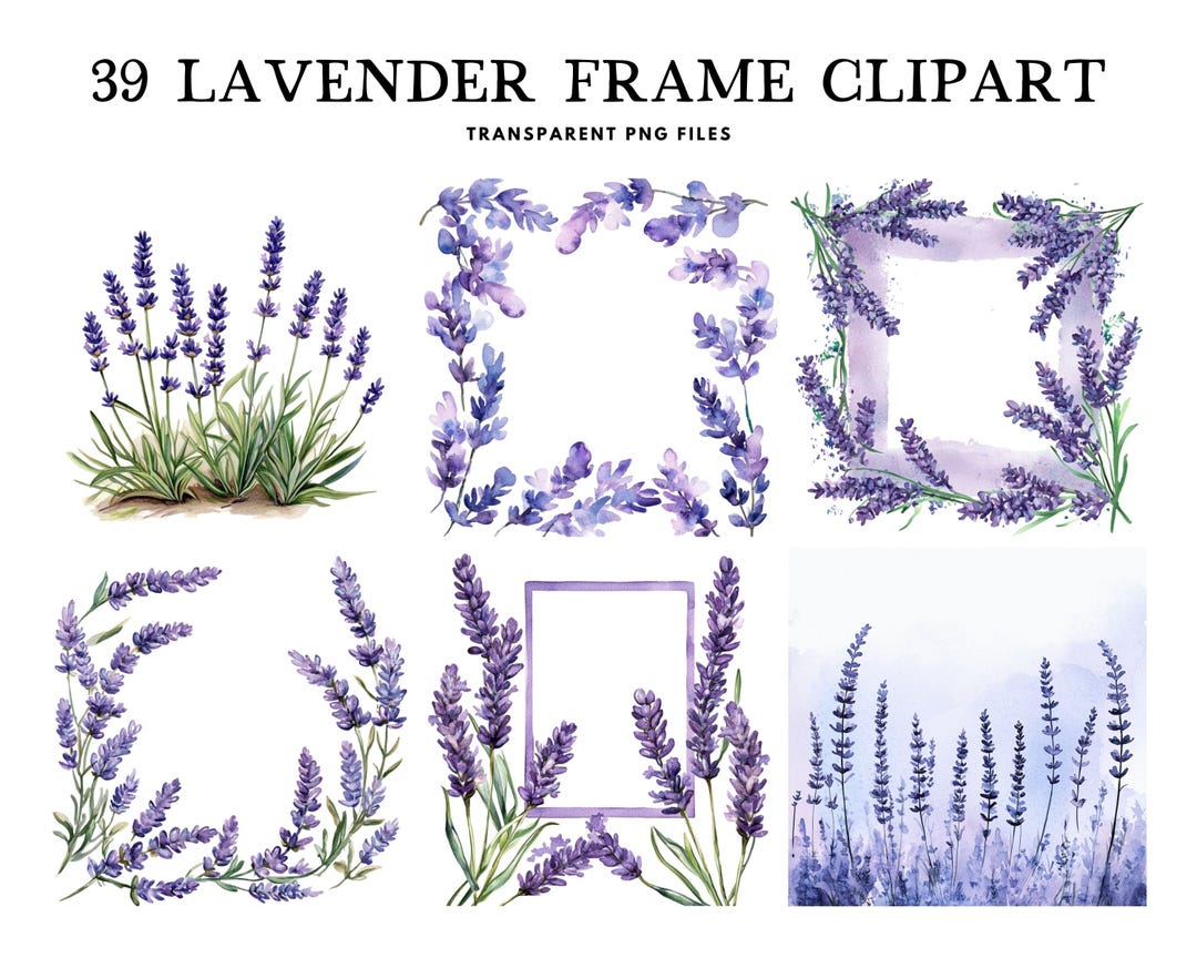 Watercolor Lavender Frame Clipart, Png Bundle, Clip Art, Illustration ...
