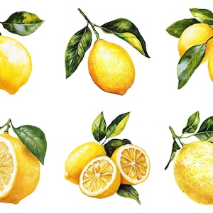 Watercolor Lemon Clipart Bundle, Lemon Png, Fruit Clip Art ...