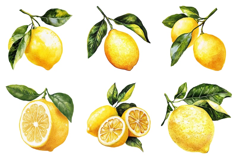 Watercolor Lemon Clipart Bundle, Lemon Png, Fruit Clip Art ...
