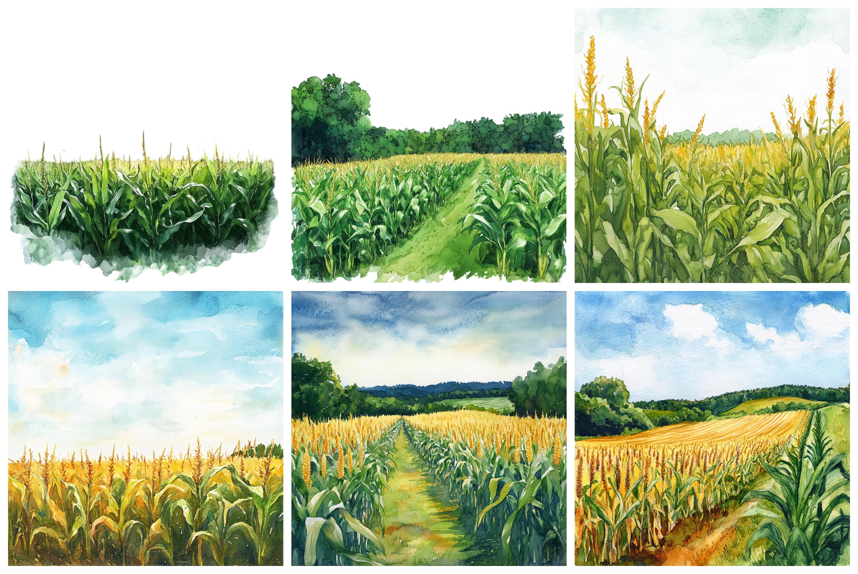 Watercolor Corn Field Landscape Clipart Bundle, Png Clip Art ...