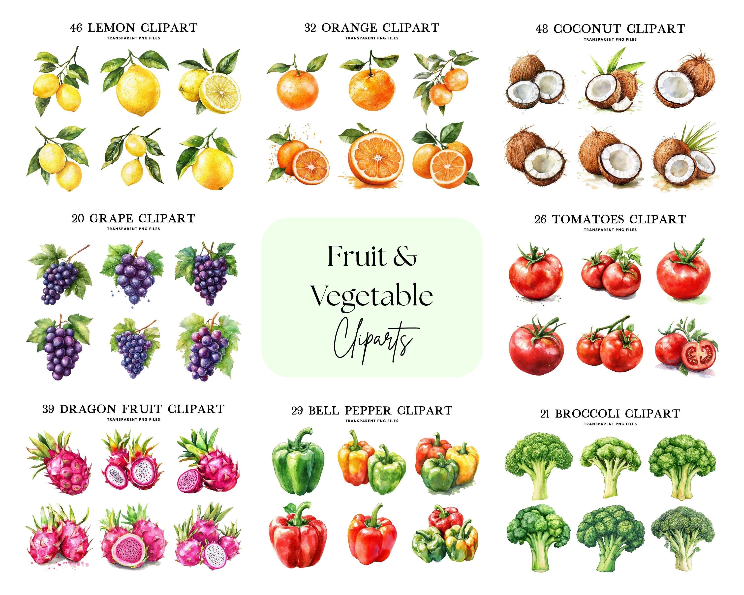 Whole Shop Bundle, Watercolor Clipart Png, Mega Clip Art, Full Access ...