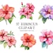 Watercolor Hibiscus Clipart Bundle, Hibiscus Png, Flower Clip Art ...