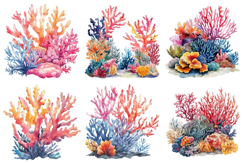 Watercolor Coral Reef Clipart Bundle, Coral Reef Png, Ocean Clip Art ...