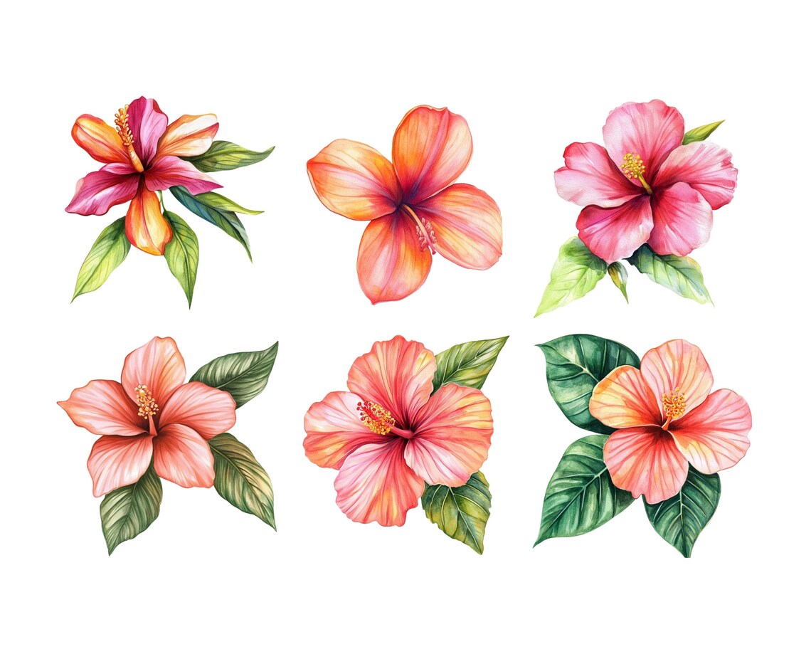Watercolor Tropical Flower Clipart Bundle, Tropical Png, Floral Clip ...