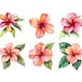 Watercolor Tropical Flower Clipart Bundle, Tropical Png, Floral Clip ...