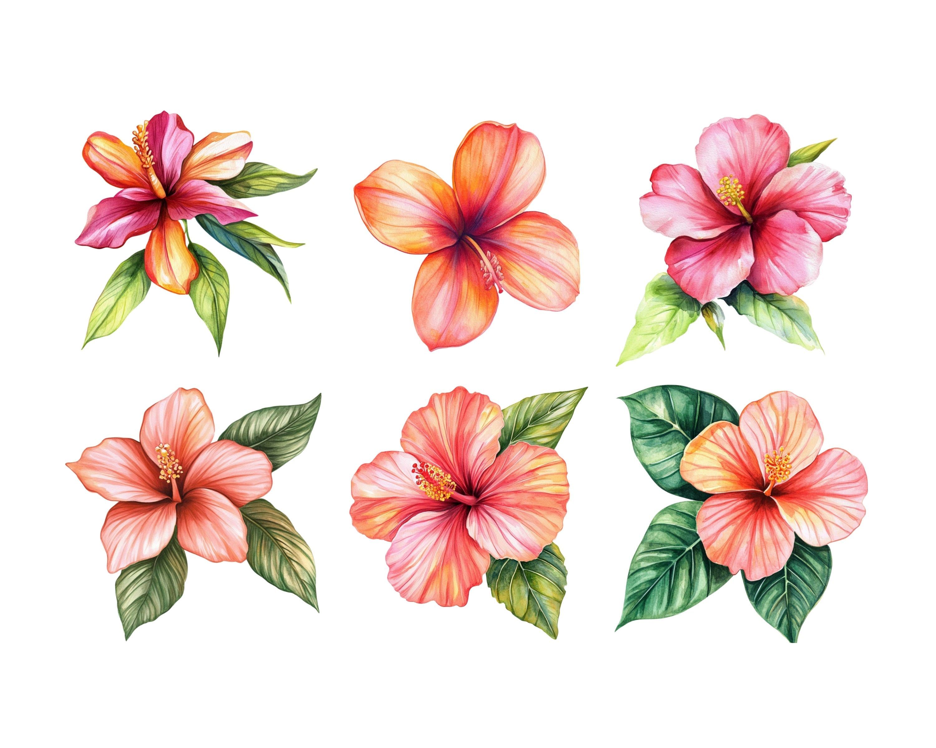Watercolor Tropical Flower Clipart Bundle, Tropical Png, Floral Clip ...