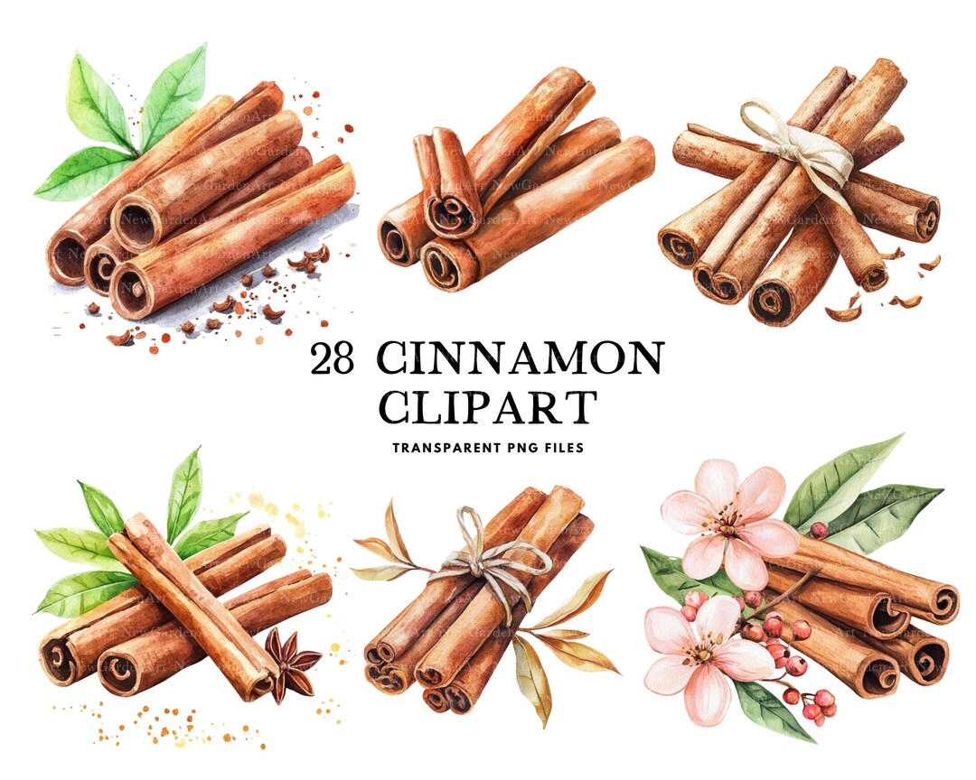 Watercolor Cinnamon Clipart Bundle, Cinnamon Png, Cinnamon Roll Clip ...