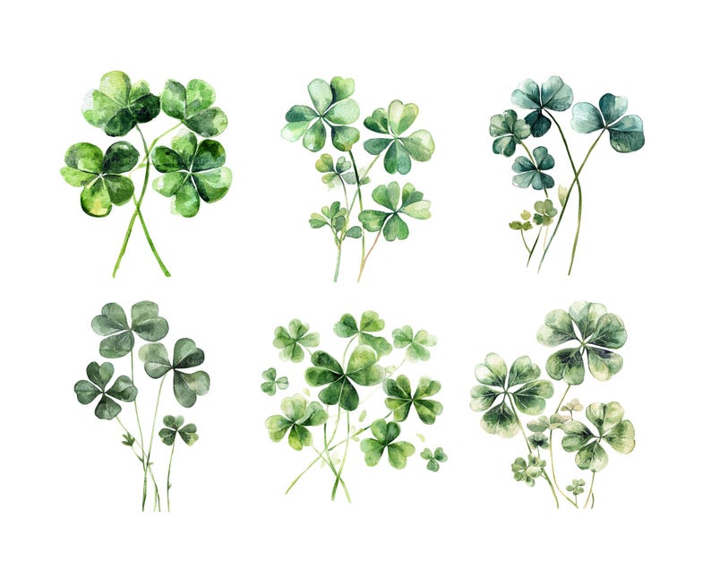 Watercolor Clover Clipart Bundle, Clover Png, Shamrock Clip Art, Four ...